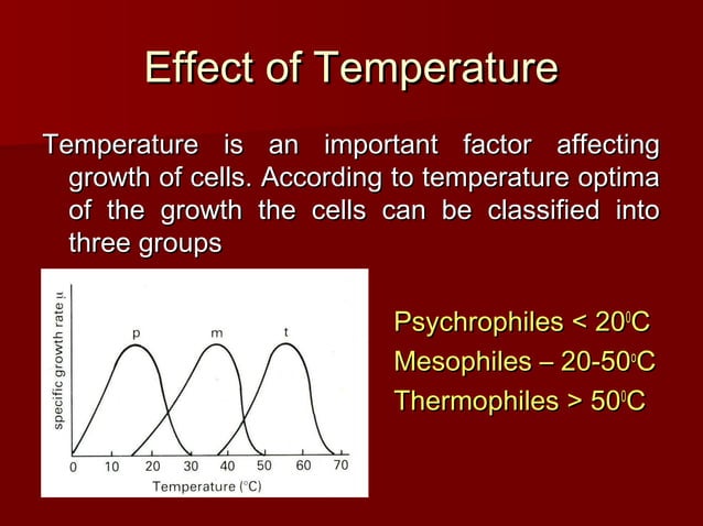 Batch, Fed-Batch, Continuous Cultivation | PPT | Biological Sciences ...