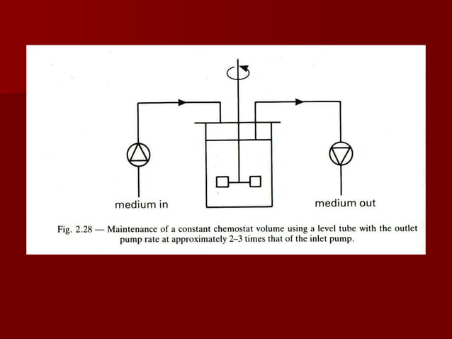 Batch, Fed-Batch, Continuous Cultivation | PPT | Biological Sciences ...