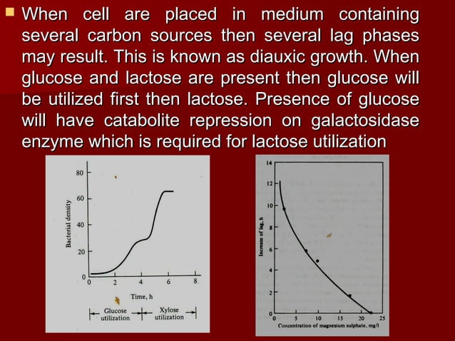 Batch, Fed-Batch, Continuous Cultivation | PPT | Biological Sciences ...