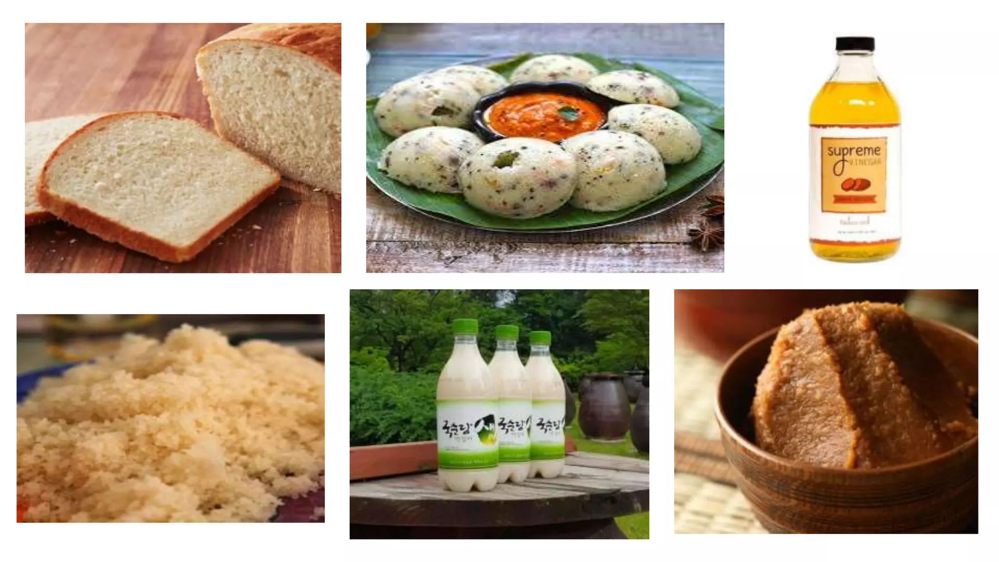 fermented cereals and starchy tubers-1[305].pptx