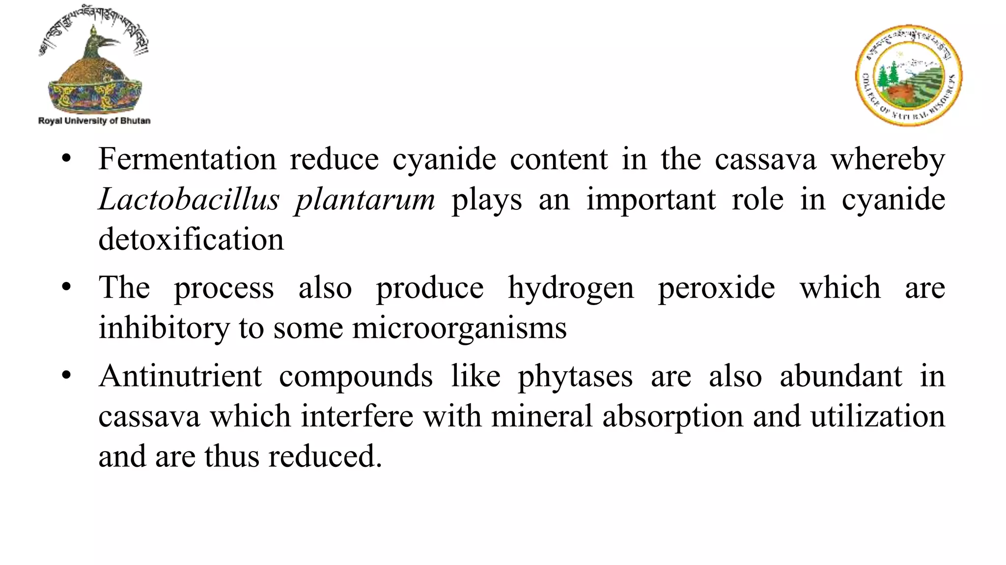 fermented cereals and starchy tubers-1[305].pptx