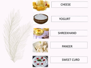 Fermented dairy foods | PPTX