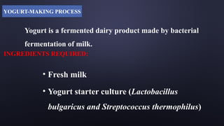 Fermented Dairy Products and Production Process of Fermented Dairy ...