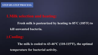 Fermented Dairy Products and Production Process of Fermented Dairy ...