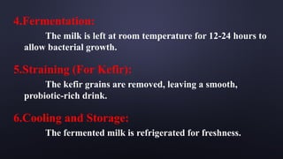 Fermented Dairy Products and Production Process of Fermented Dairy ...