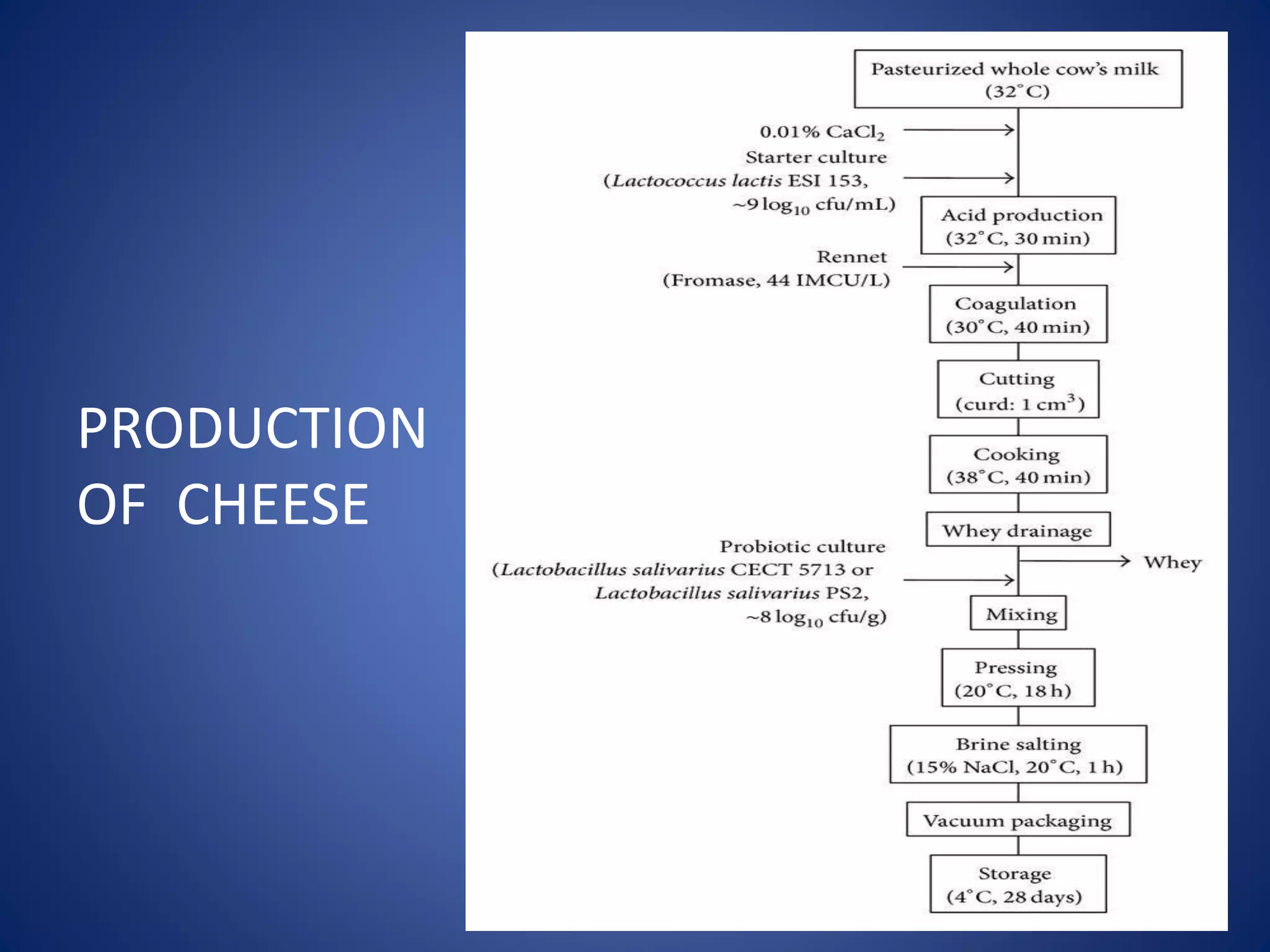 Fermented food products cheese,yoghurt,kefir | PPTX