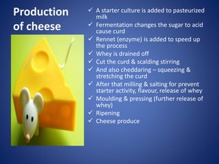 Fermented food products cheese,yoghurt,kefir | PPTX