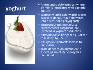 Fermented food products cheese,yoghurt,kefir | PPTX