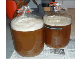 Fermented foods and beverages, food ingredients and food additives | PPTX