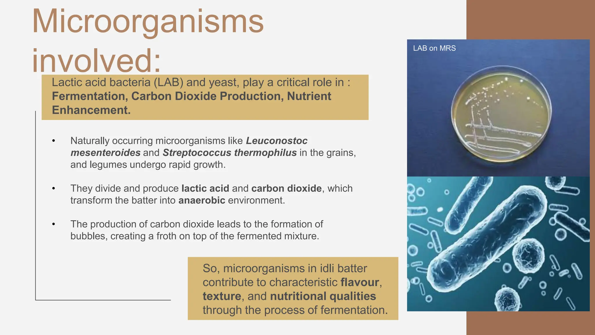 Fermented Indian Food - IDLI.pptx