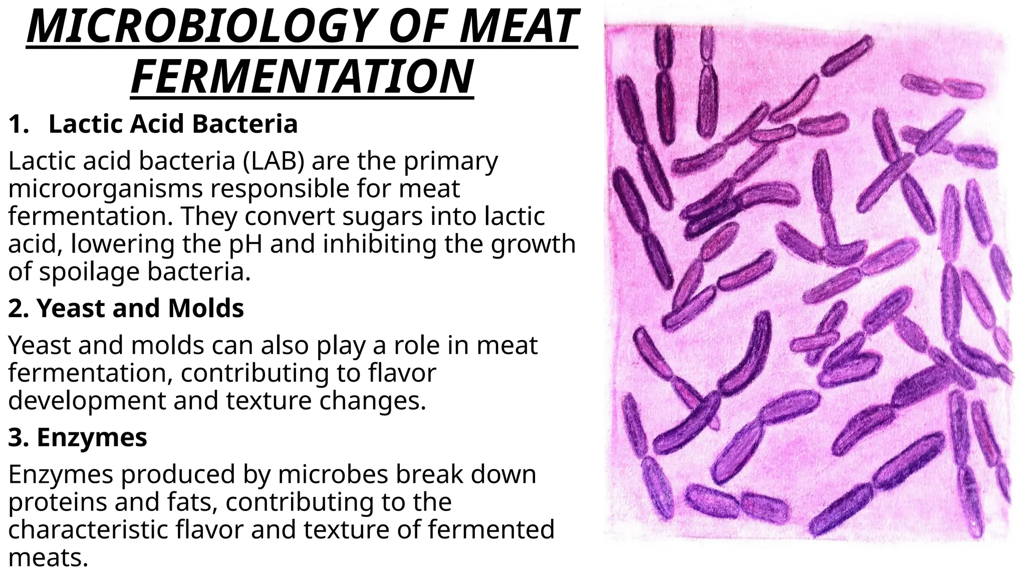 Fermented meat and meat products - Food Biotechnology | PPTX