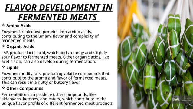Fermented meat and meat products - Food Biotechnology | PPTX