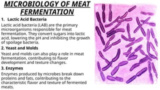 Fermented meat and meat products - Food Biotechnology | PPTX