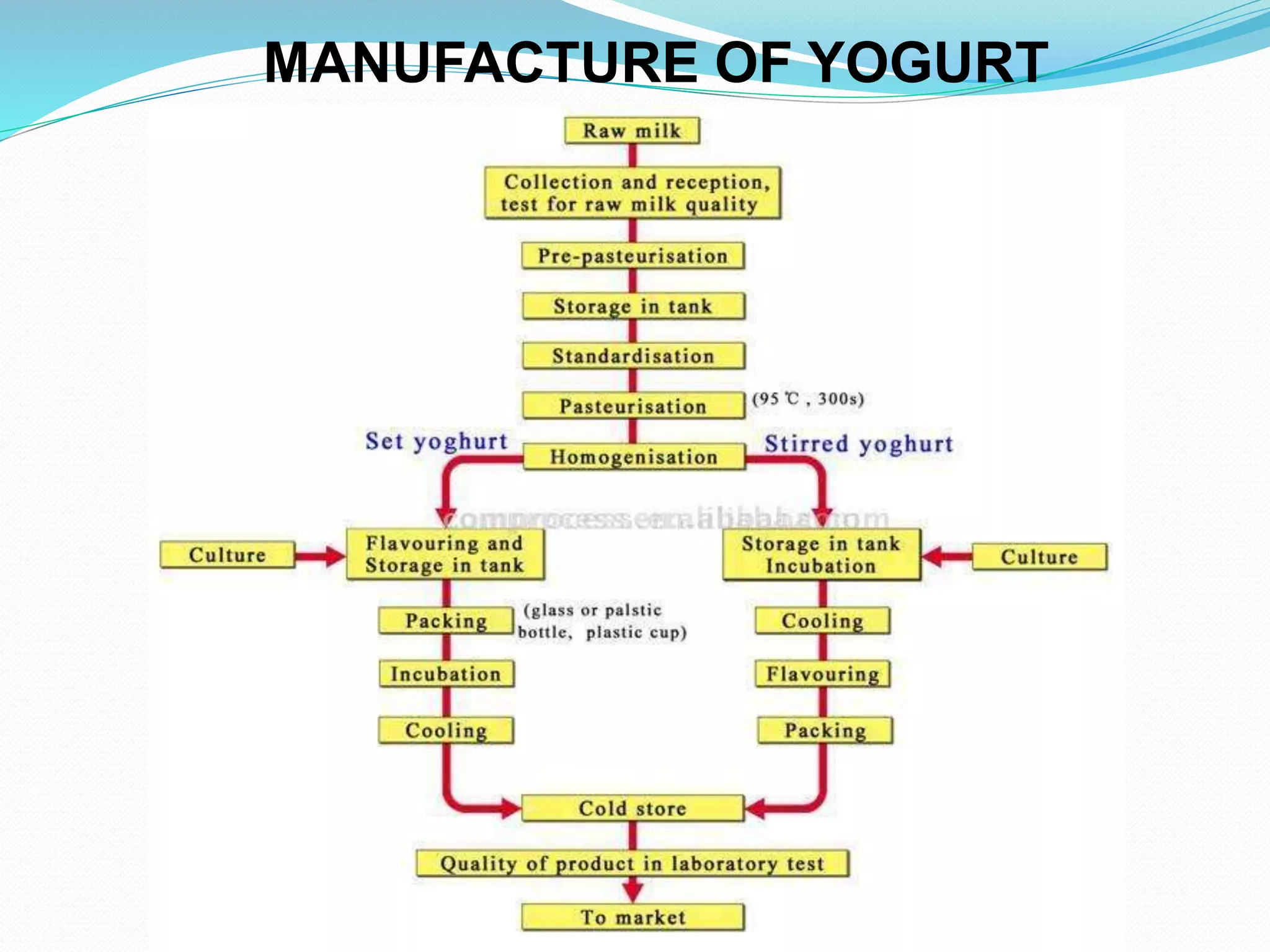 Fermented milk 1 | PPTX