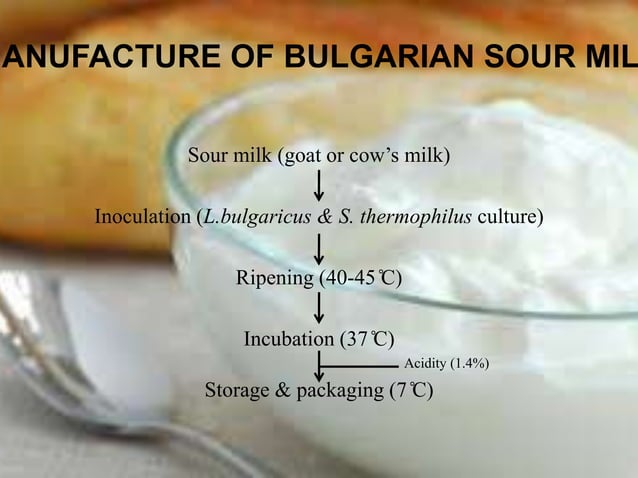 Fermented milk 1 | PPTX | Food & Drink