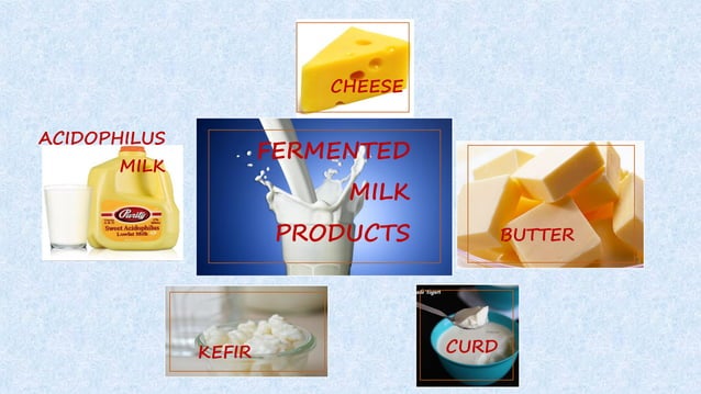 Fermented Milk products. | PPT