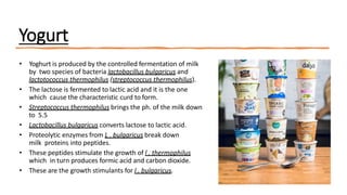 Fermented Milk Products | PPTX
