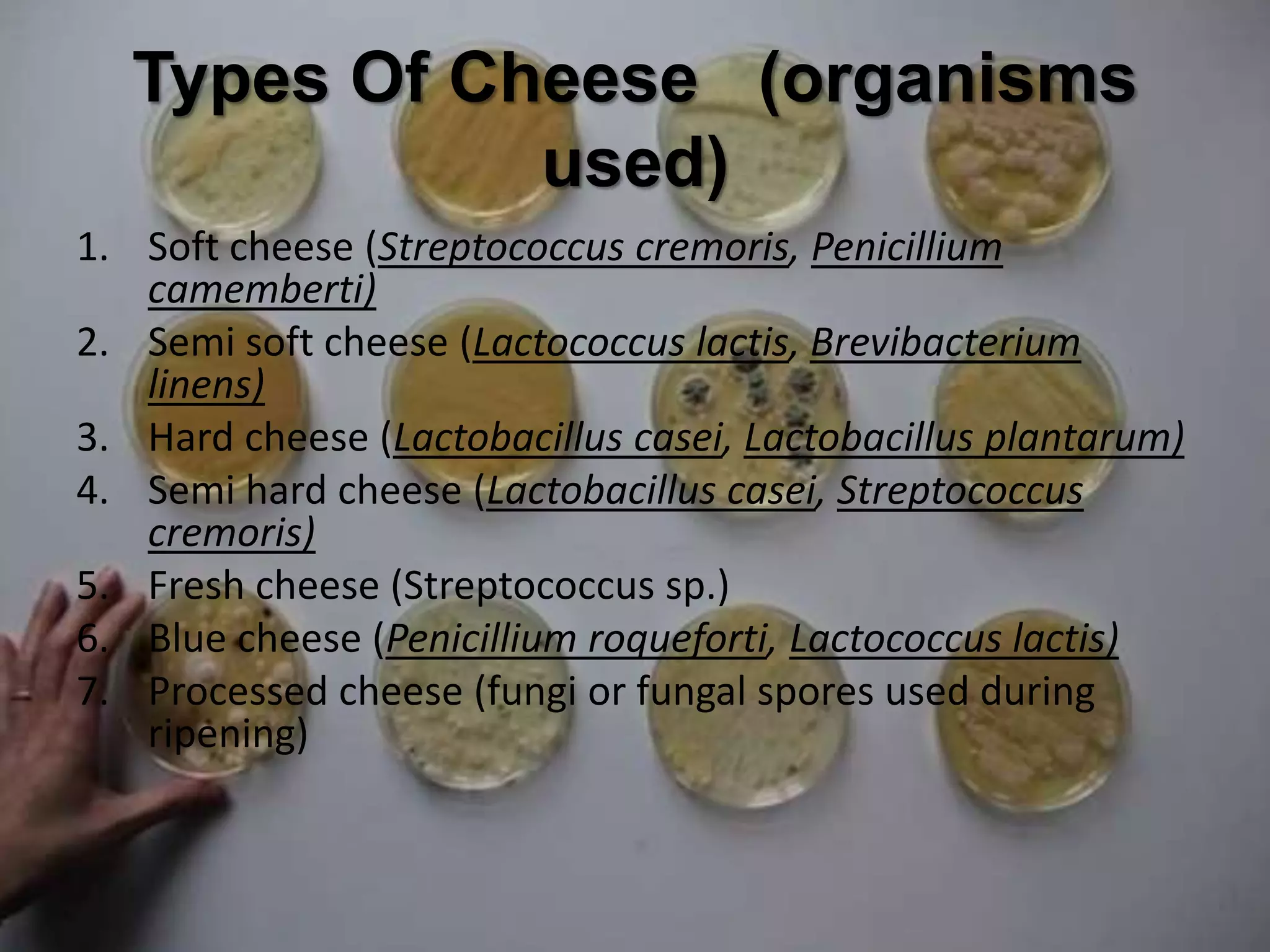 Fermented milk products | PPTX