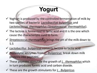 Fermented milk products | PPTX