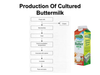 Fermented milk products | PPTX