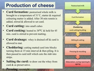 Fermented products | PPTX