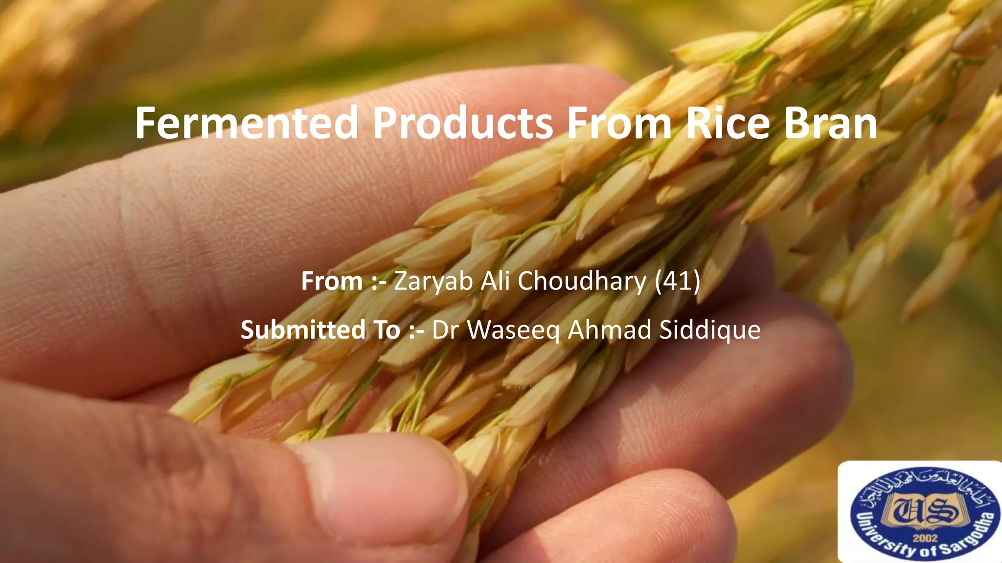 Fermented Products from Rice bran.pptx