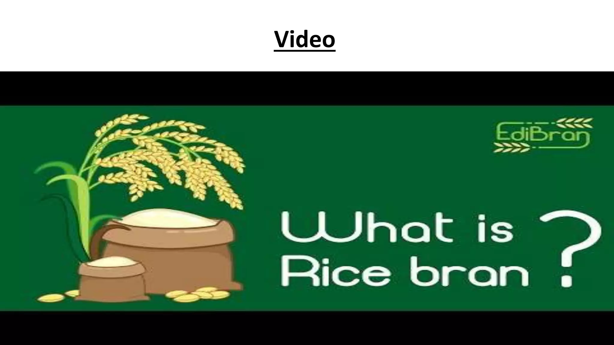 Fermented Products from Rice bran.pptx