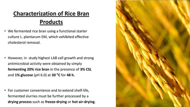 Fermented Products from Rice bran.pptx | Free Download