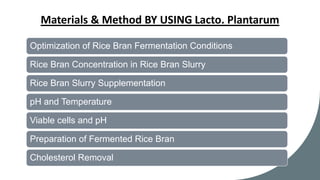 Fermented Products from Rice bran.pptx