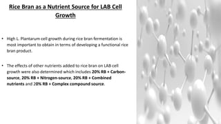 Fermented Products from Rice bran.pptx