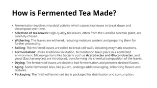 Fermented Tea.pptxvgxgxgfxgjvjkbk;lnm;lm. | PPT