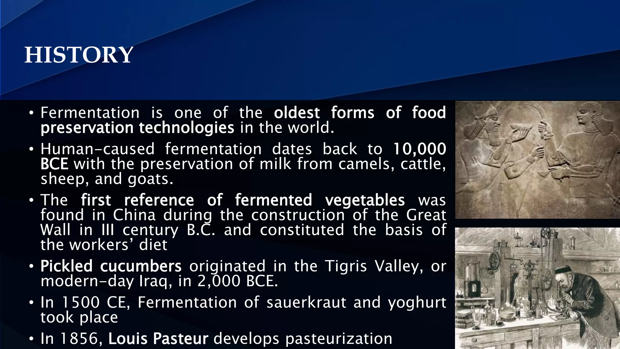Fermented vegetables | PPTX
