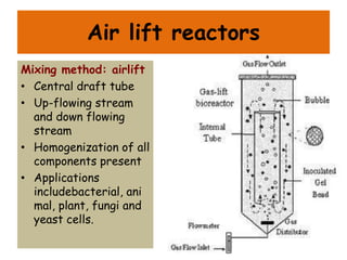 Fermentation and bio-reactor design | PPTX
