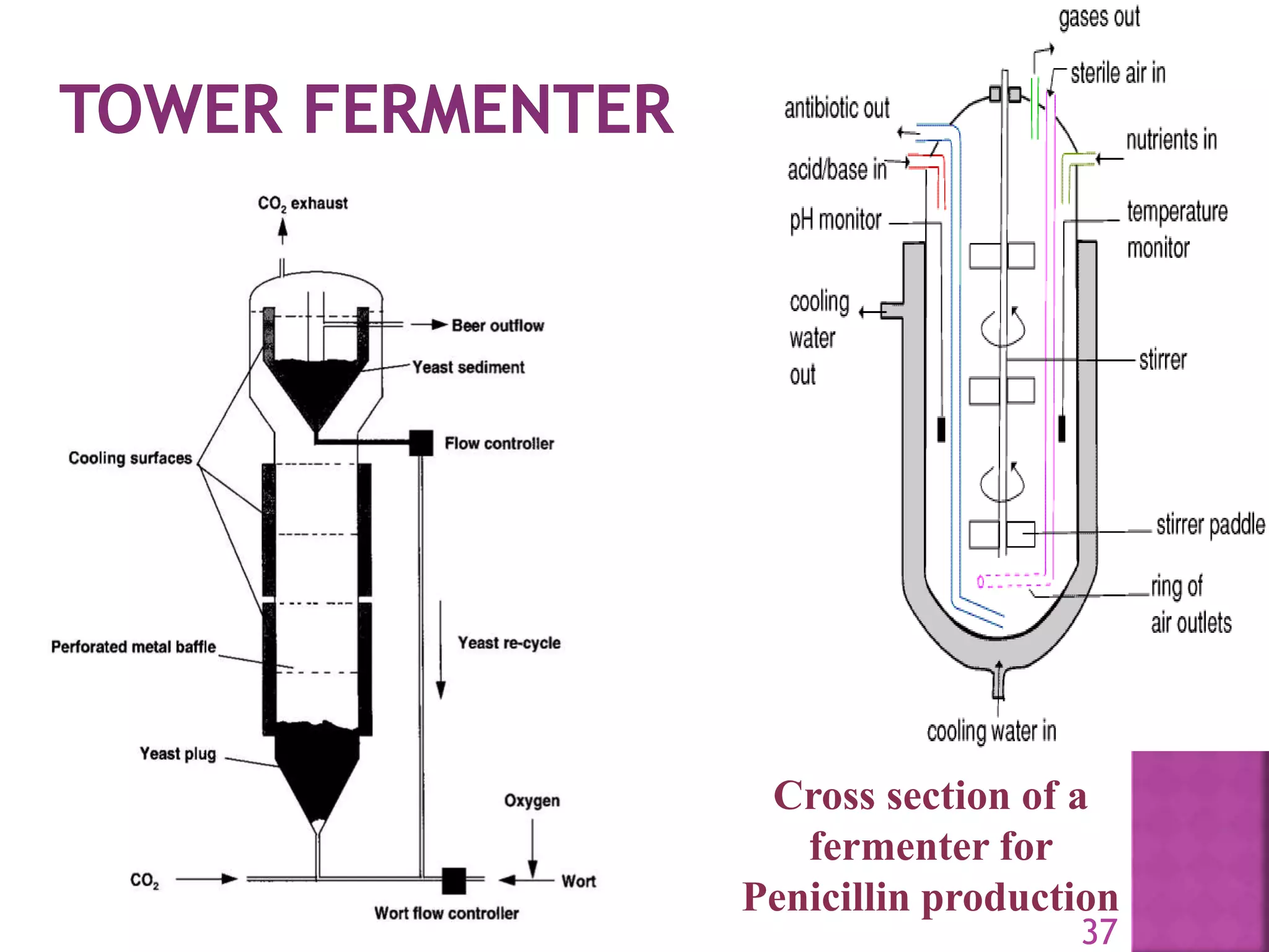 Fermenter and its components | PPTX