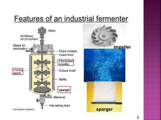 Fermenter and its components | PPTX | Home Appliances | Home & Garden