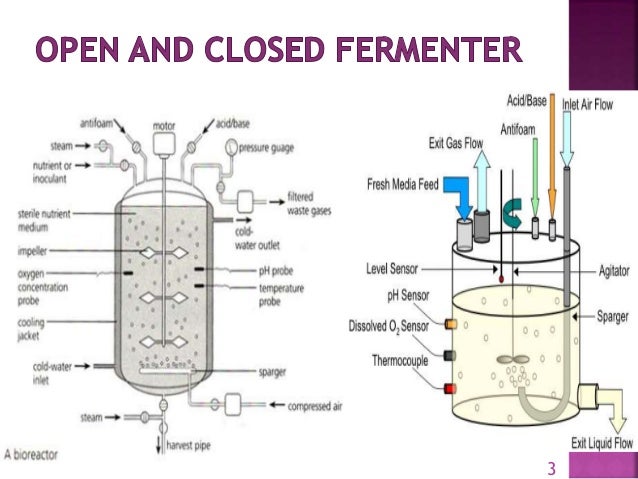 Fermenter and its components