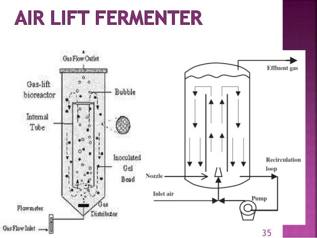 Fermenter and its components