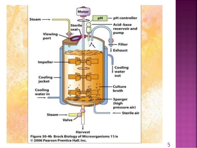 Fermenter and its components