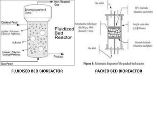 Fermenter and their oprations | PPT