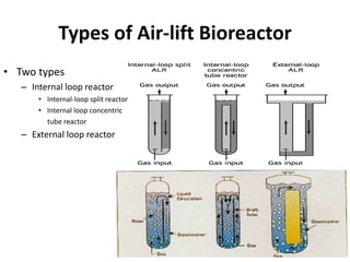 Fermenter and Bioreactor.All kind of theory of bioreactor | PDF