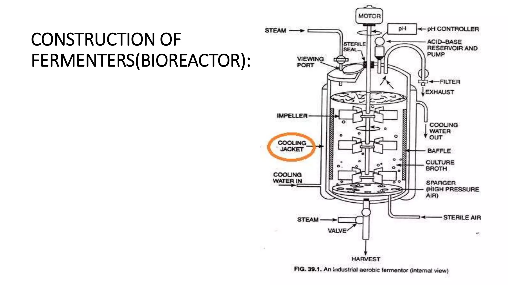 FERMENTERS( BIOREACTORS) AND THEIR TYPES | PPTX