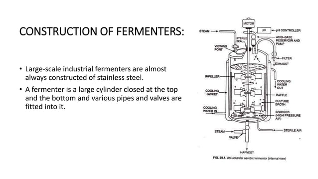 FERMENTERS( BIOREACTORS) AND THEIR TYPES | PPTX
