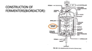 FERMENTERS( BIOREACTORS) AND THEIR TYPES | PPTX
