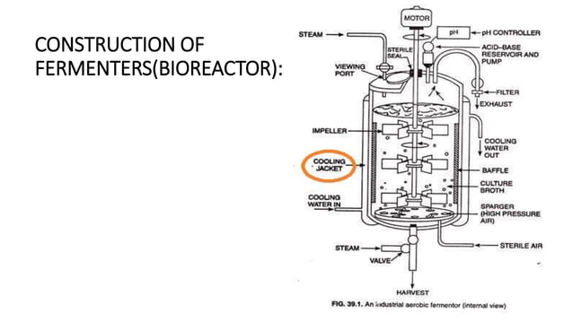 FERMENTERS( BIOREACTORS) AND THEIR TYPES | PPTX