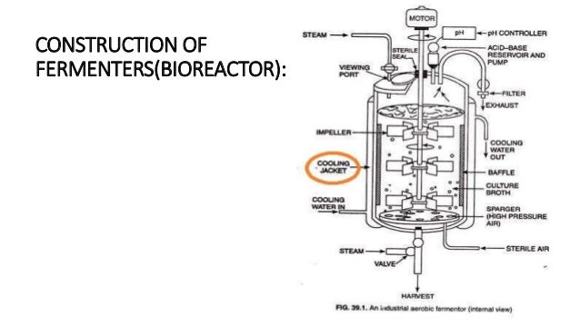 FERMENTERS( BIOREACTORS) AND THEIR TYPES