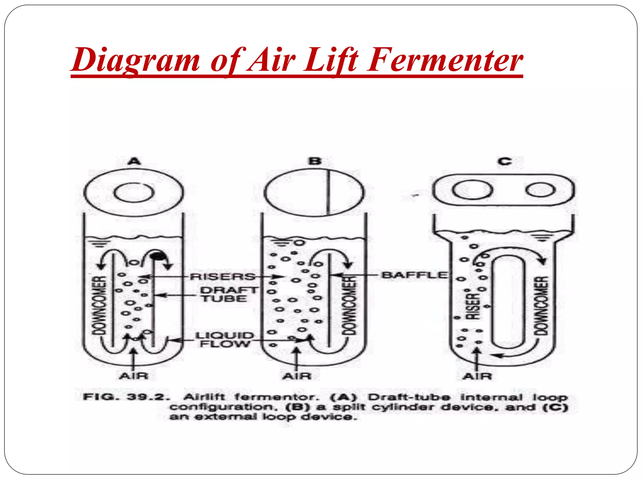 Fermenters and its types | PPTX