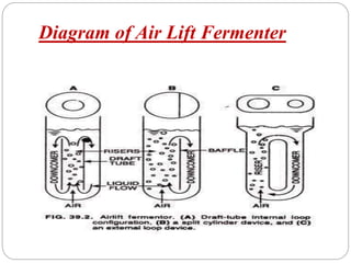 Fermenters and its types | PPTX