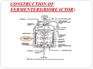 Fermenters and its types | PPTX