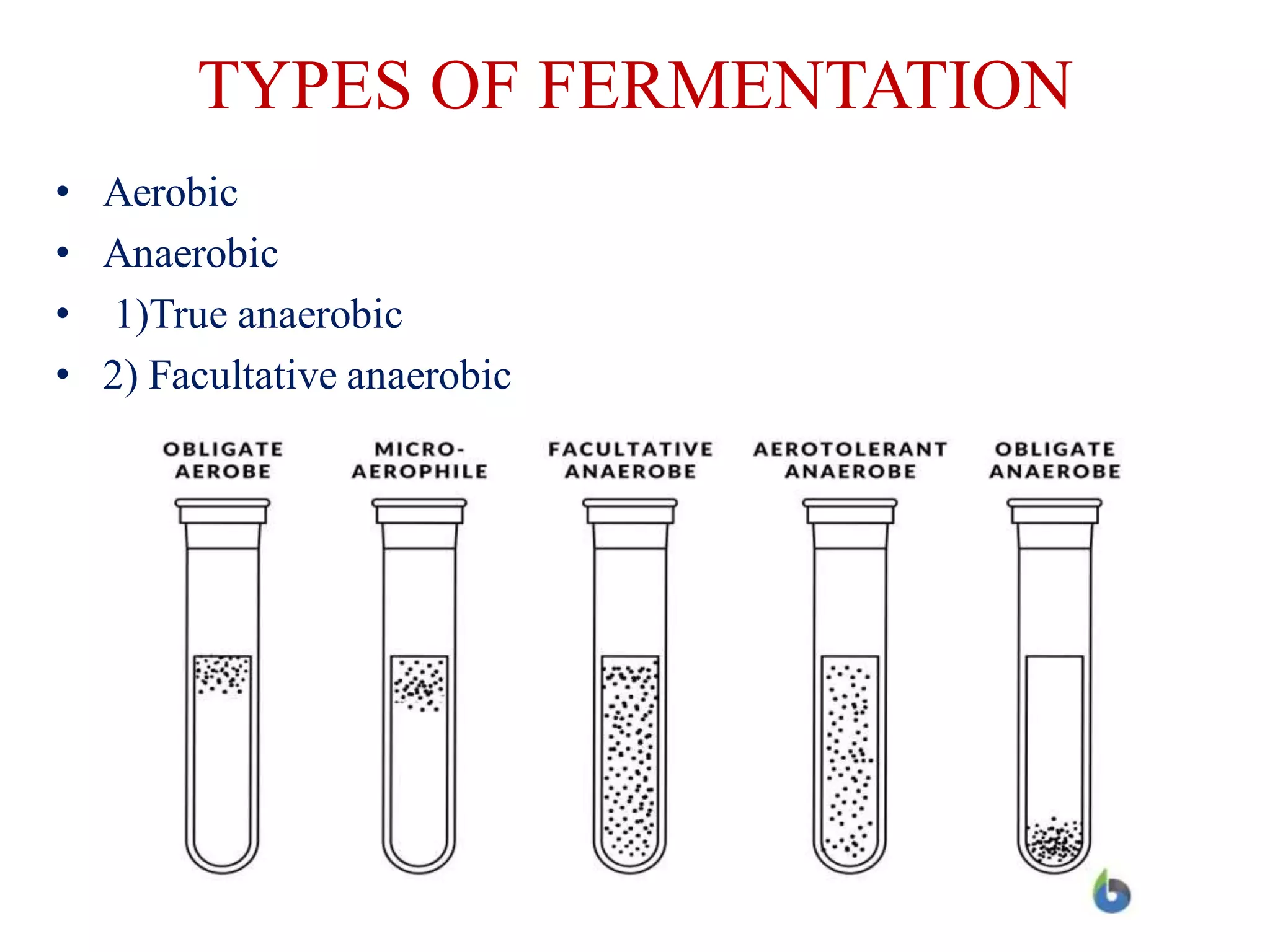 Fermention processs in pharmaceutical industry | PDF