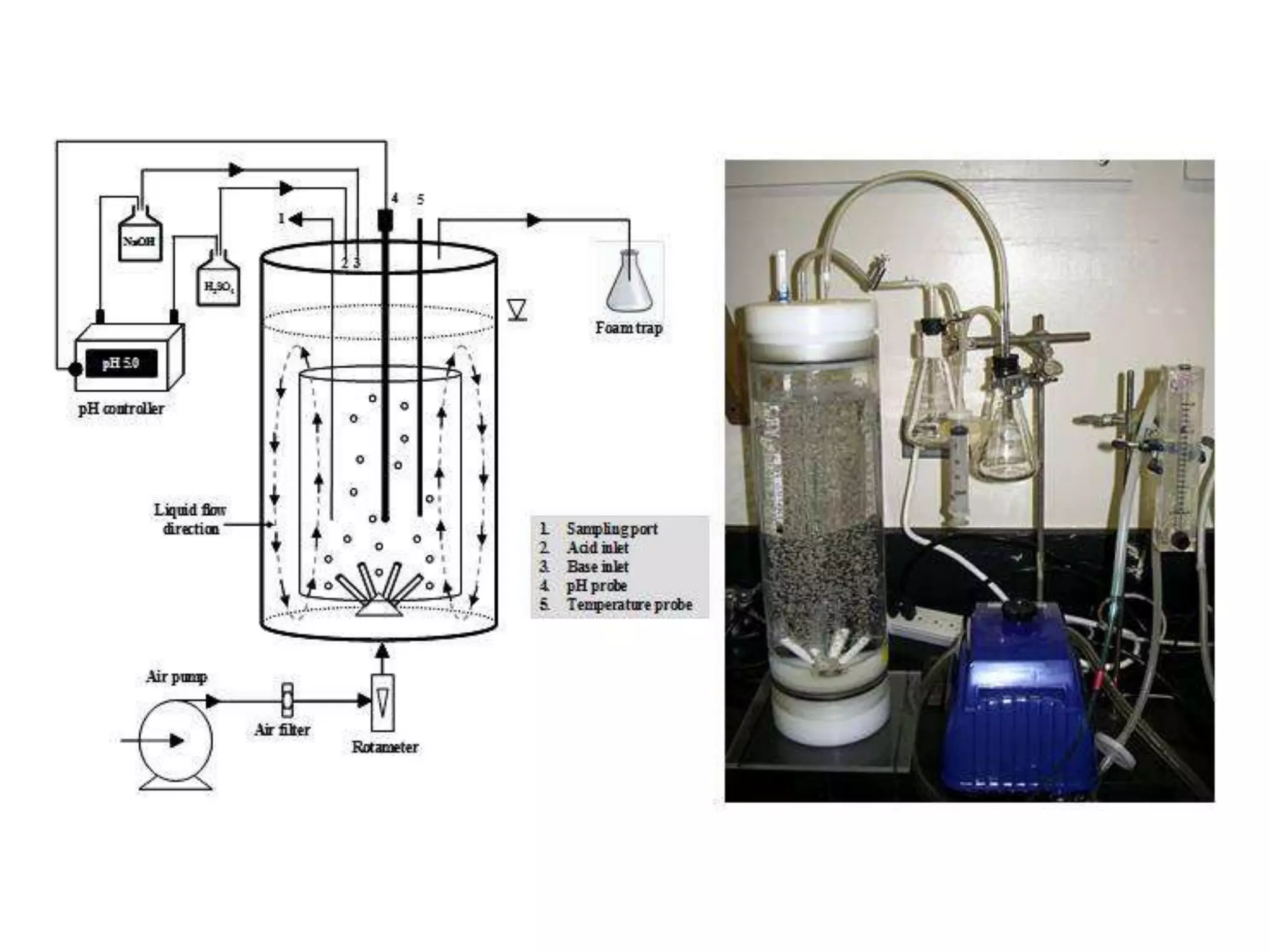 Fermentor | PPTX
